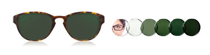 Upgrade Premium Poly with ESSILOR Trans 8 crizal easy Graphite Green ...